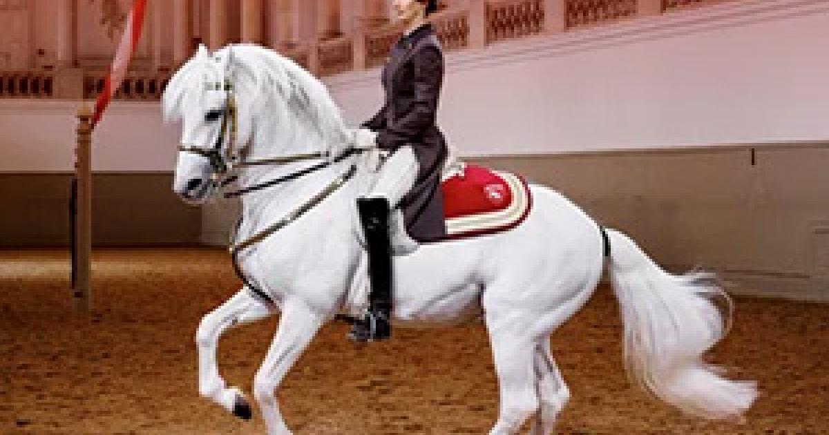 The Spanish Riding School of Vienna at Paris La Défense Arena